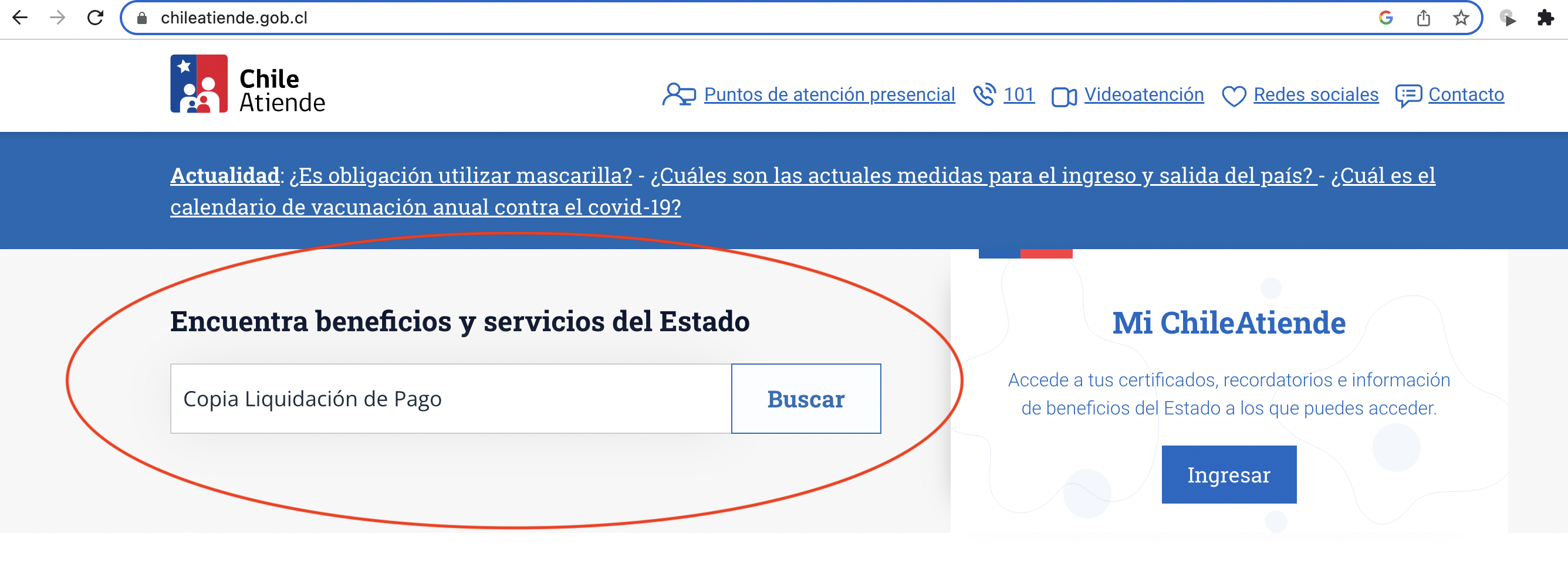 Guía para entender qué son las liquidaciones de pago